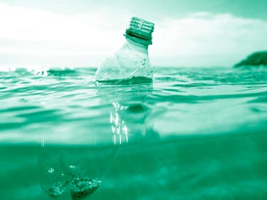 How can you reduce your microplastic intake? - The Inclusion Post